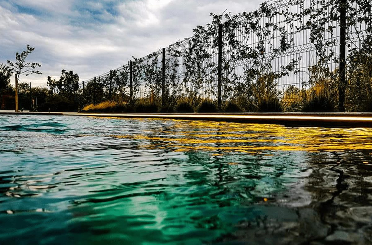 Swimming pool – Clear Lighting | Custom LED Neon Flex Lighting